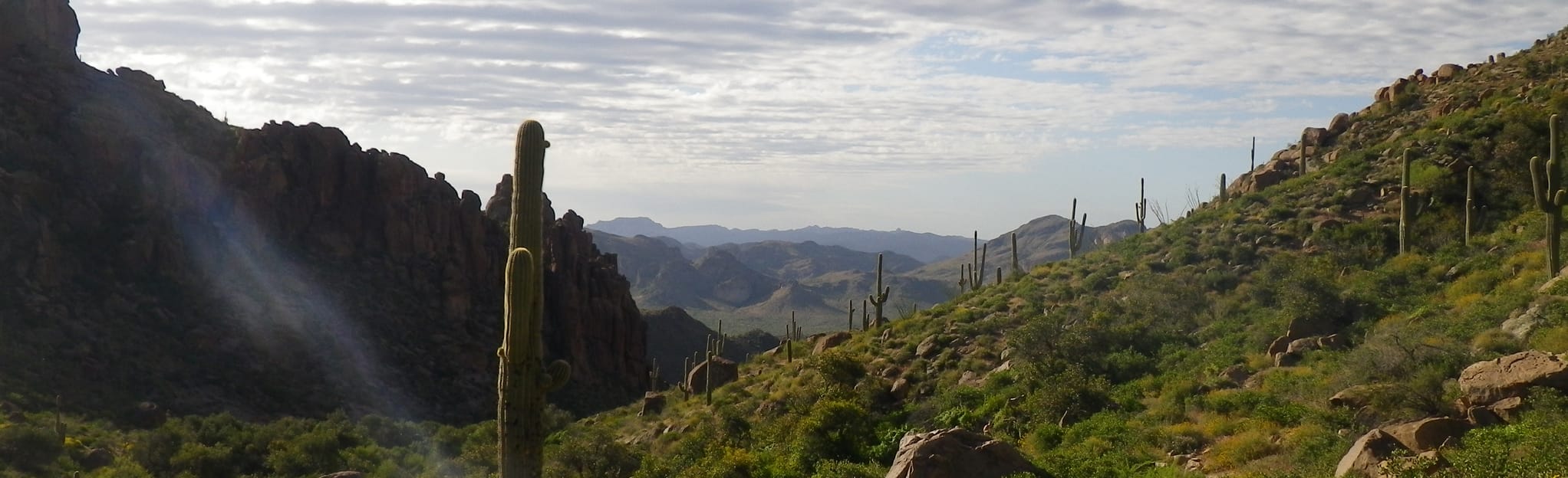 Peralta Canyon Trail to First Water Trailhead, Arizona - 104 Reviews ...
