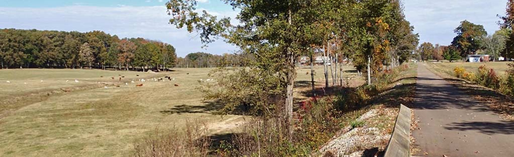 Tanglefoot Trail: Houston to Algoma, Mississippi - 16 Reviews, Map ...