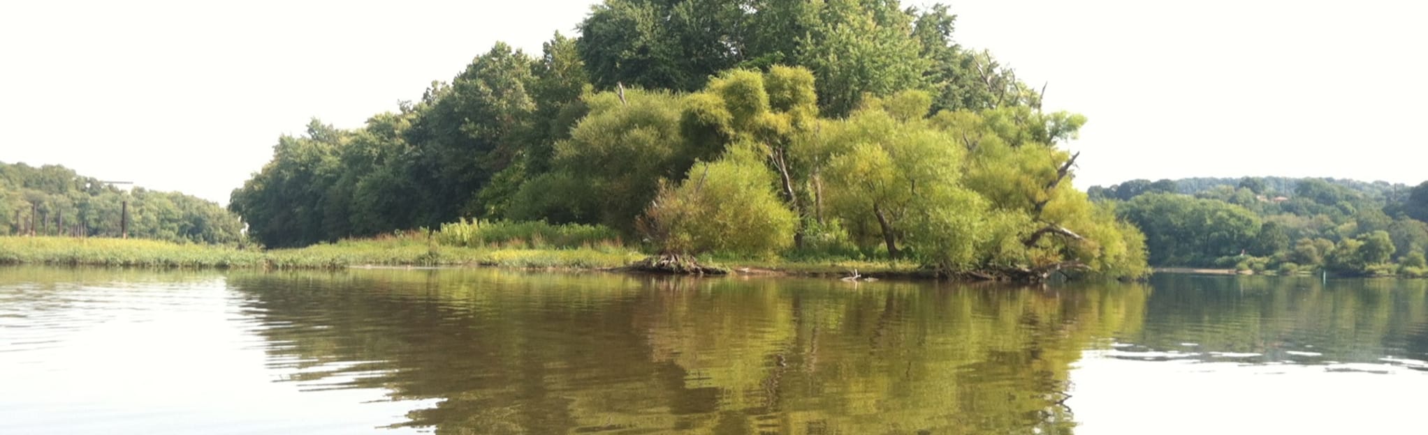 Sycamore Island Loop: 9 Reviews, Map - Pennsylvania | AllTrails