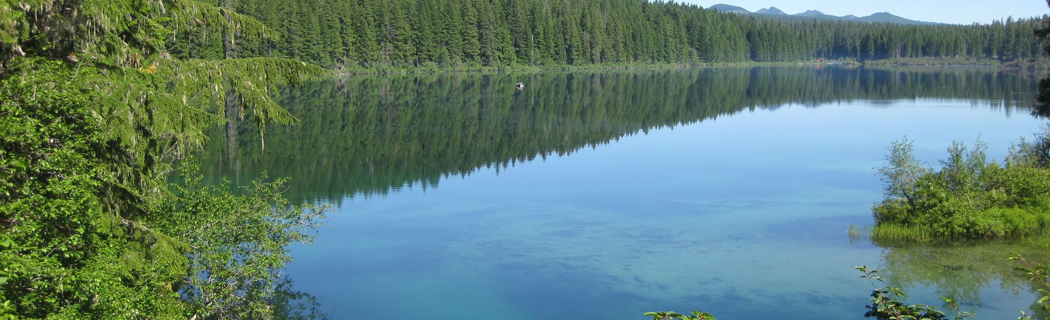 AllTrails | Tamolitch McKenzie River Trail to Coldwater Cove: 126 ...