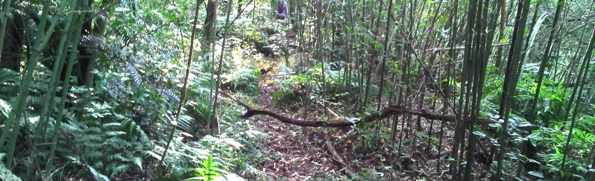 Dagao Mountain: 0 fotos - Nuevo Taipéi, Taiwán | AllTrails