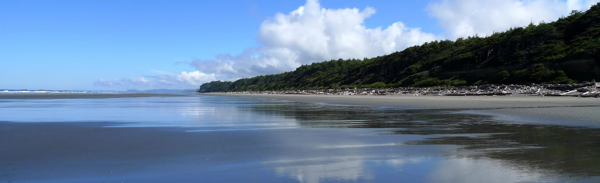 Beach Trail 2, Washington - 48 Reviews, Map | AllTrails