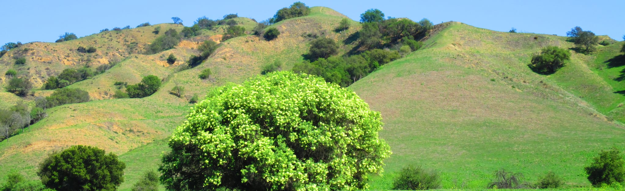 AllTrails | Wire Springs to Rolling M Ranch: 25 Reviews, Map - California