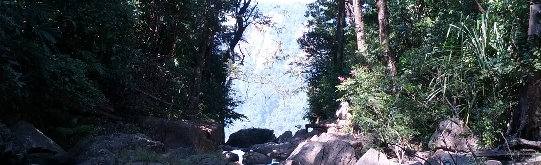 Mallandur - Barkana Falls, Karnataka, India - Map, Guide | AllTrails