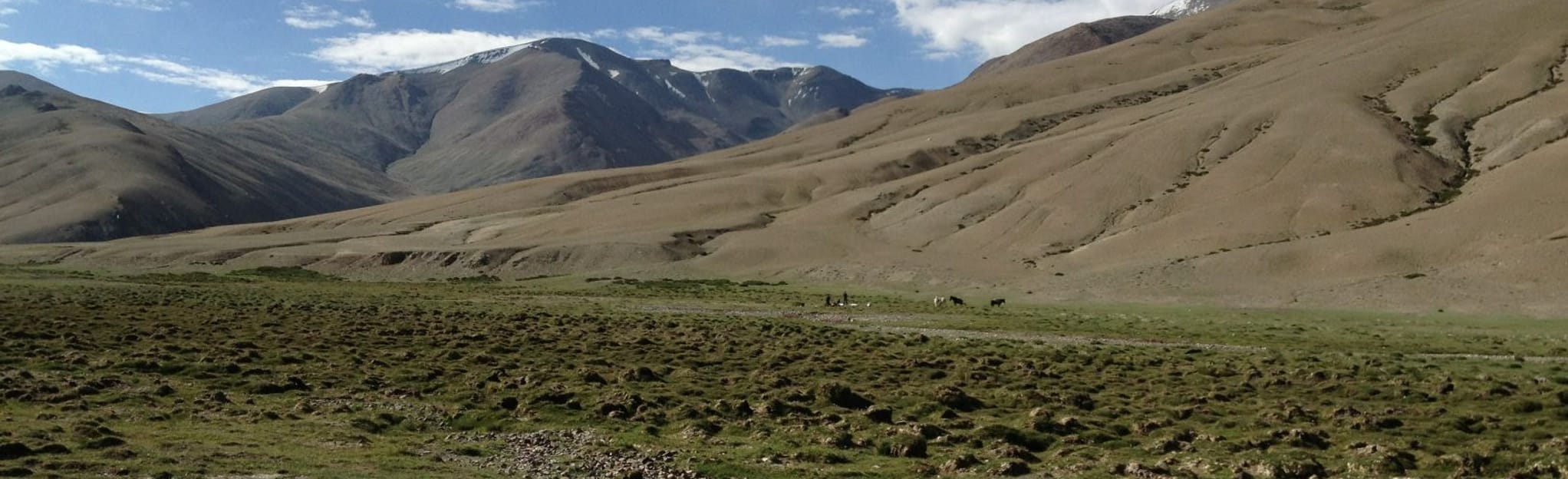 Rumtse - Tso Kar Lake Trek: 1 Reviews, Map - Ladakh, India | AllTrails