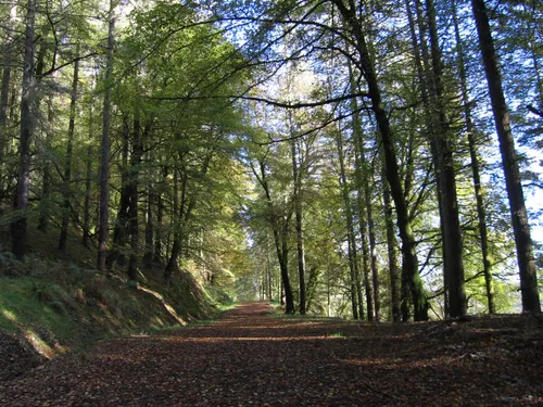 Best Walking Trails in Taynuilt | AllTrails