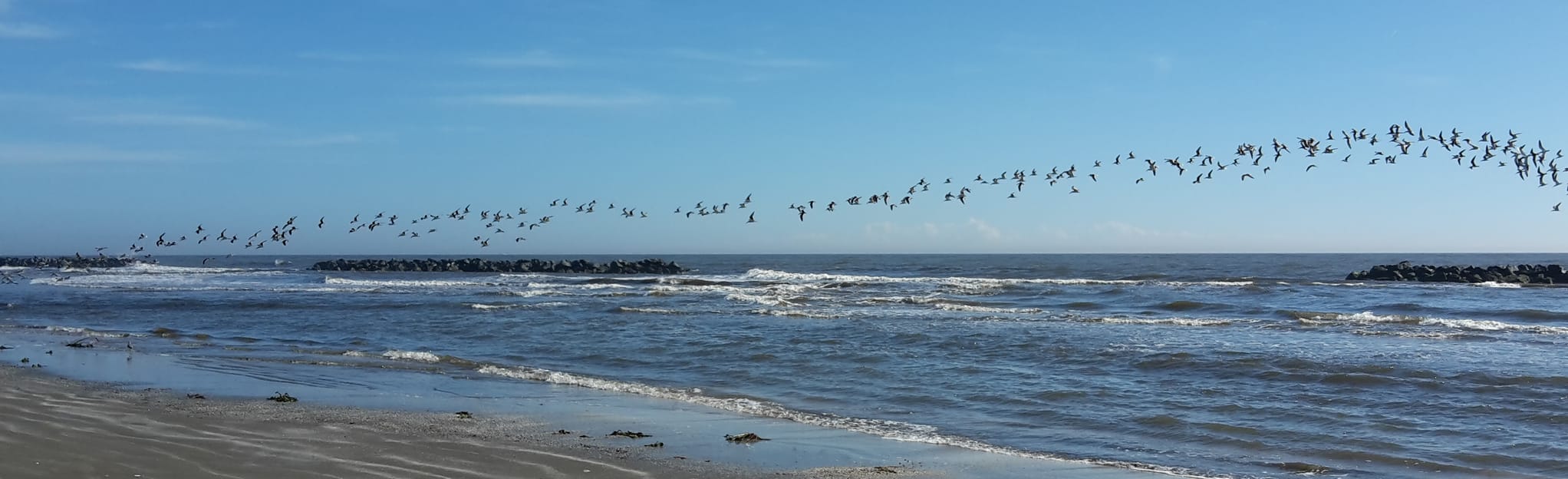 Grand Isle Beach, Louisiana - 14 Reviews, Map | AllTrails