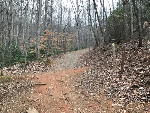 10 Best Trails and Hikes in Blue Ridge | AllTrails