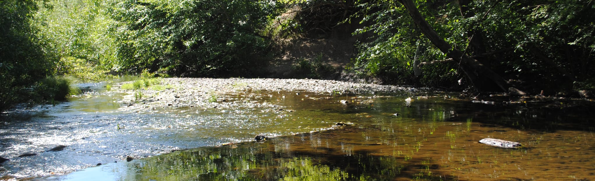 Maxwell, Back Meadow, Three Meadow and Bay Tree Trail - California ...