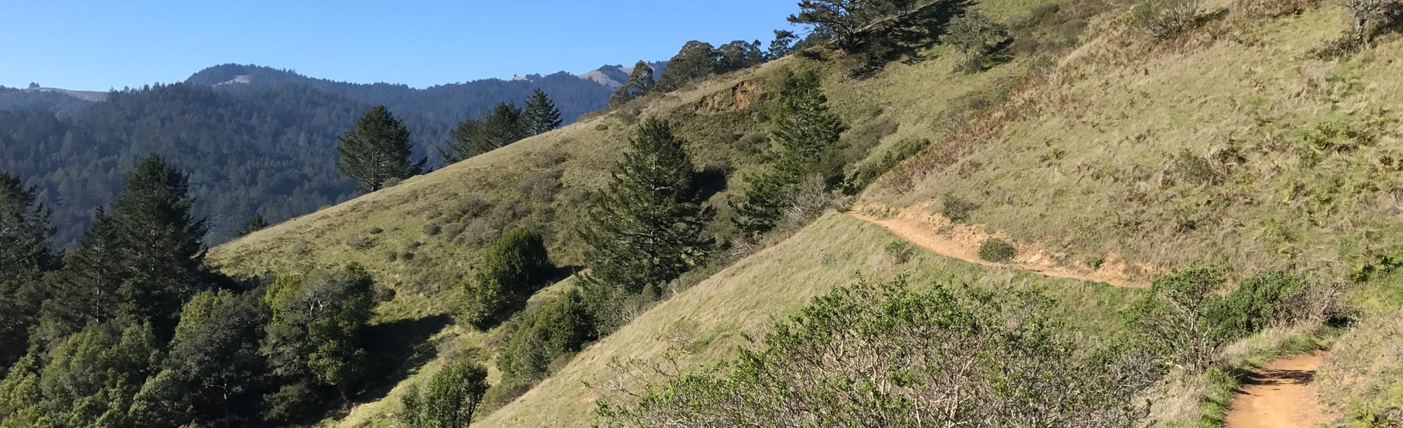 Canopy, Dipsea and Sun Trail Loop , California - 533 Reviews, Map ...