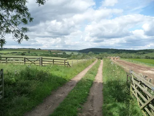 10 Best Bird Watching Trails in Howardian Hills National Landscape ...