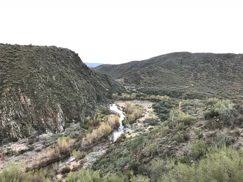 10 Best Trails and Hikes in Black Canyon City | AllTrails