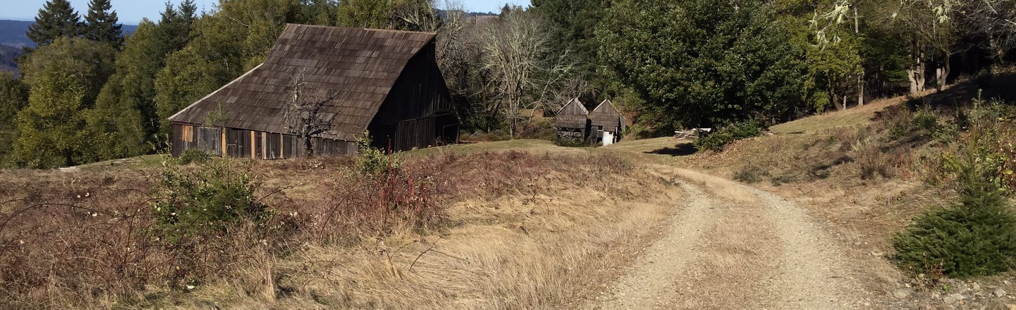 Lyons Ranch Trail, California - 59 Reviews, Map | AllTrails