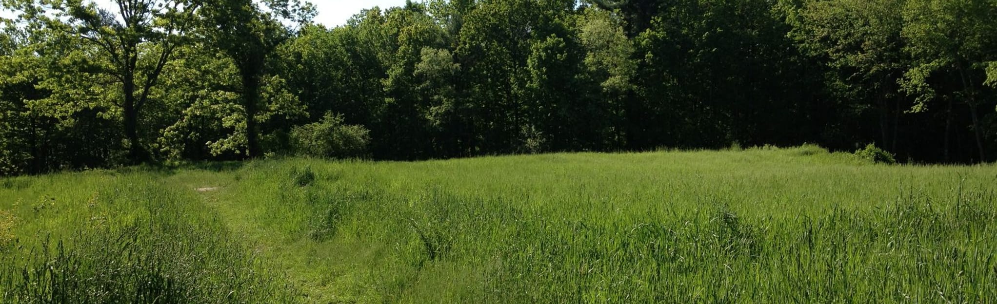 Marshall Land Trails: 34 Reviews, Map - New Hampshire | AllTrails