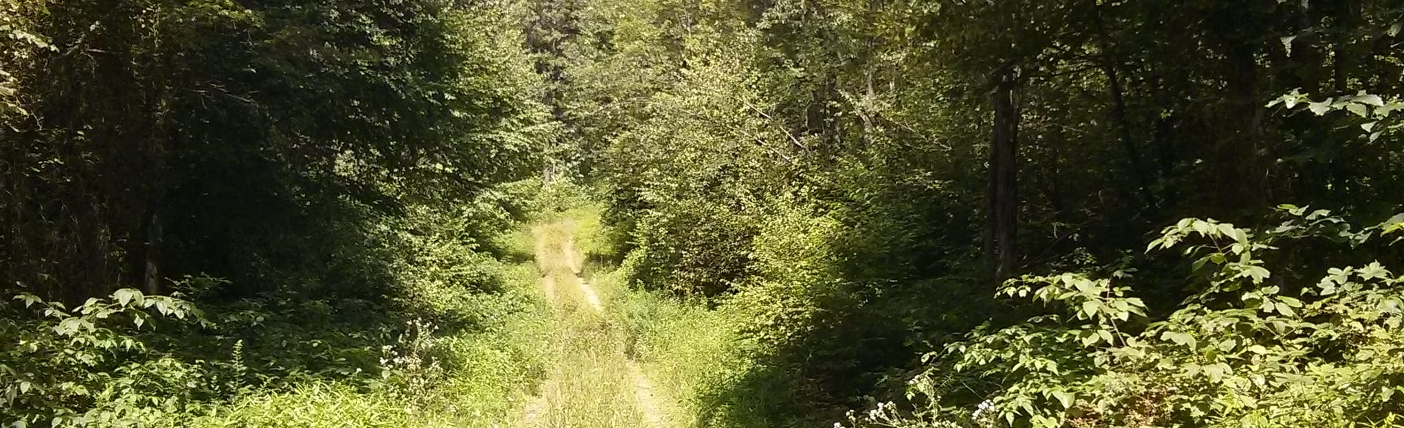 Grove Run Trail: 356 Reviews, Map - Pennsylvania | AllTrails