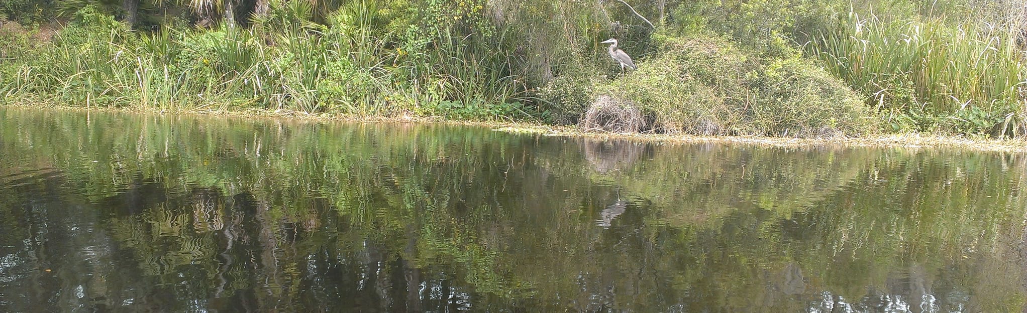 Shell Creek via Hathaway Park, Florida - 30 Reviews, Map | AllTrails