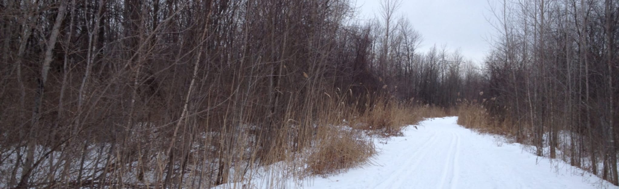 Brossard Path: 5 foto's - Quebec, Canada | AllTrails