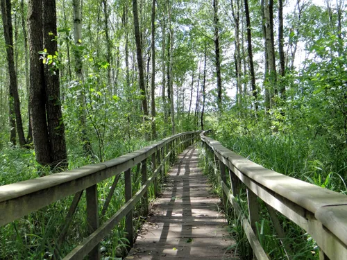 Best Hikes and Trails in Polesian National Park | AllTrails