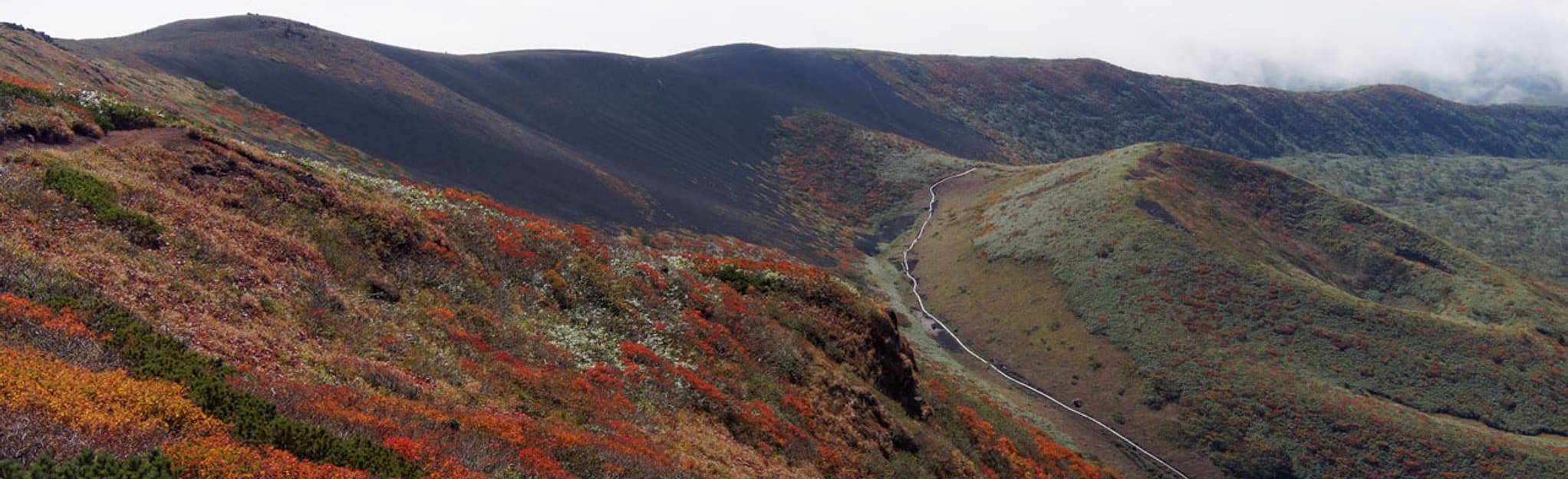 秋田駒ヶ岳 - Akita, Japan | AllTrails
