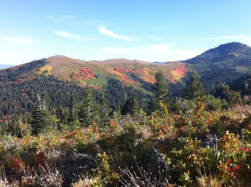 Best 10 Hiking Trails in Summit Park Open Space | AllTrails