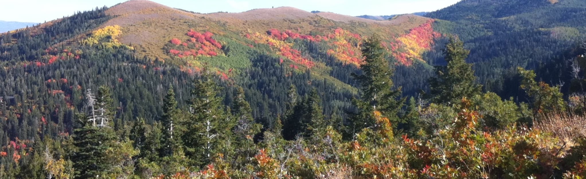 Road to WOS, Short Stack, and Short Ribs Loop, Utah - 343 Reviews, Map ...