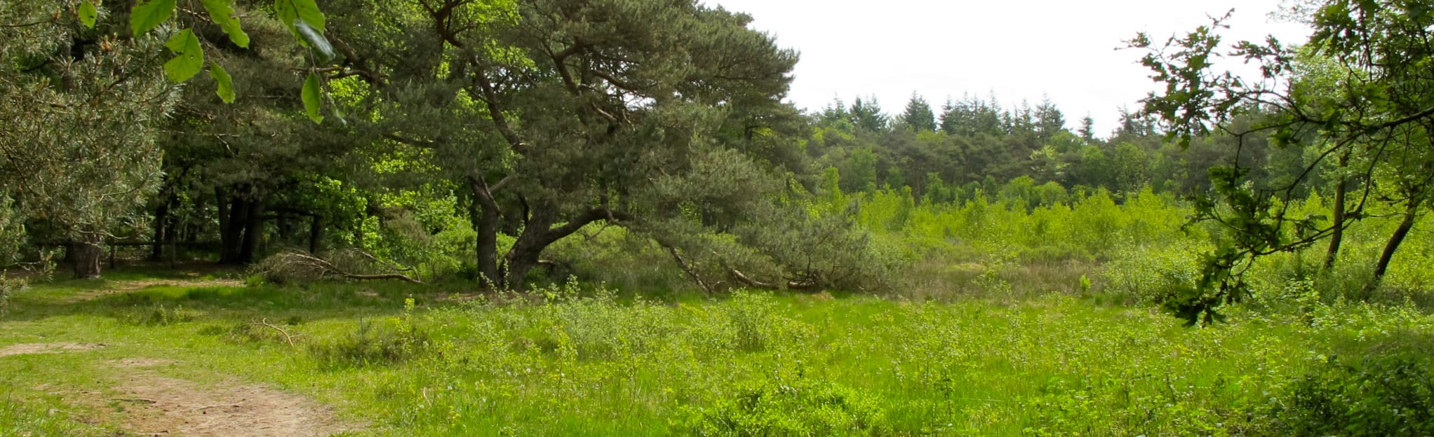 Onnen - Appèlbergen Loop: 12 Reviews, Map - Groningen, Netherlands ...