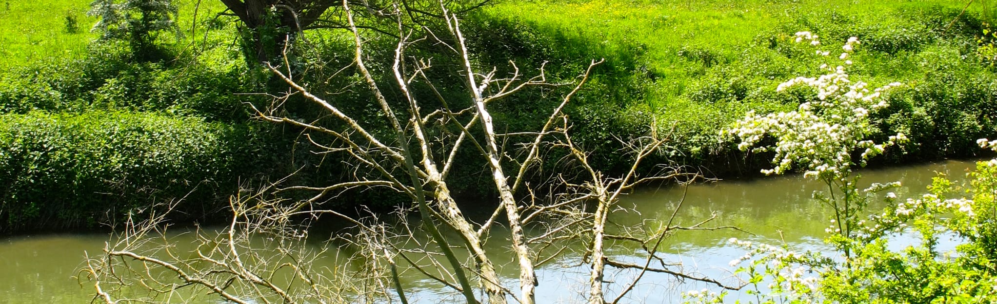 Grebbeliniepad: Rhenen - Veenendaal Segment 2: 9 Reviews, Map - Utrecht ...