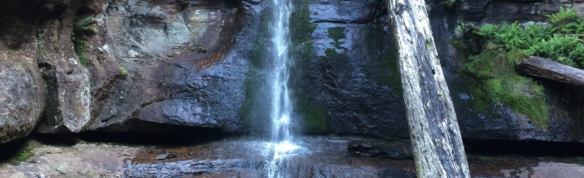 Snug Falls Walking Track, Tasmania, Australia - 117 Reviews, Map | AllTrails