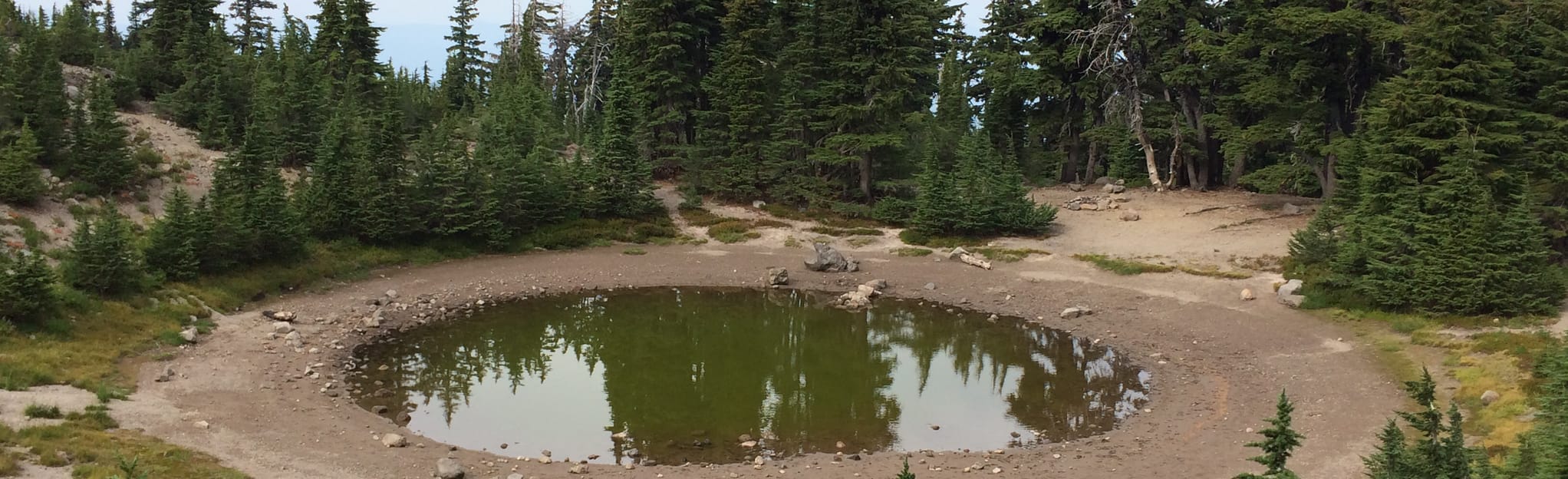Barrett Spur via Vista Ridge and Wy'east Basin Trail, Oregon - 148 ...