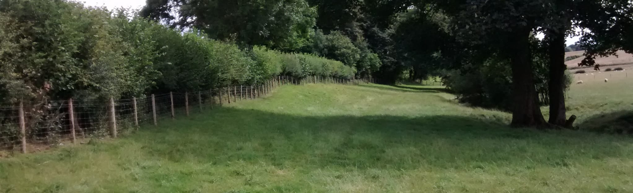 Barwick In Elmet and Saw Wood Circular: 19 Reviews, Map - West ...