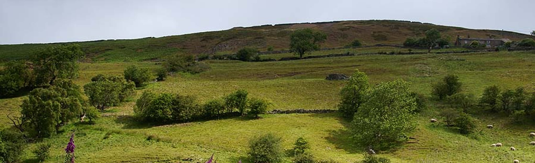 Booze Circular, North Yorkshire, England - 18 Reviews, Map | AllTrails