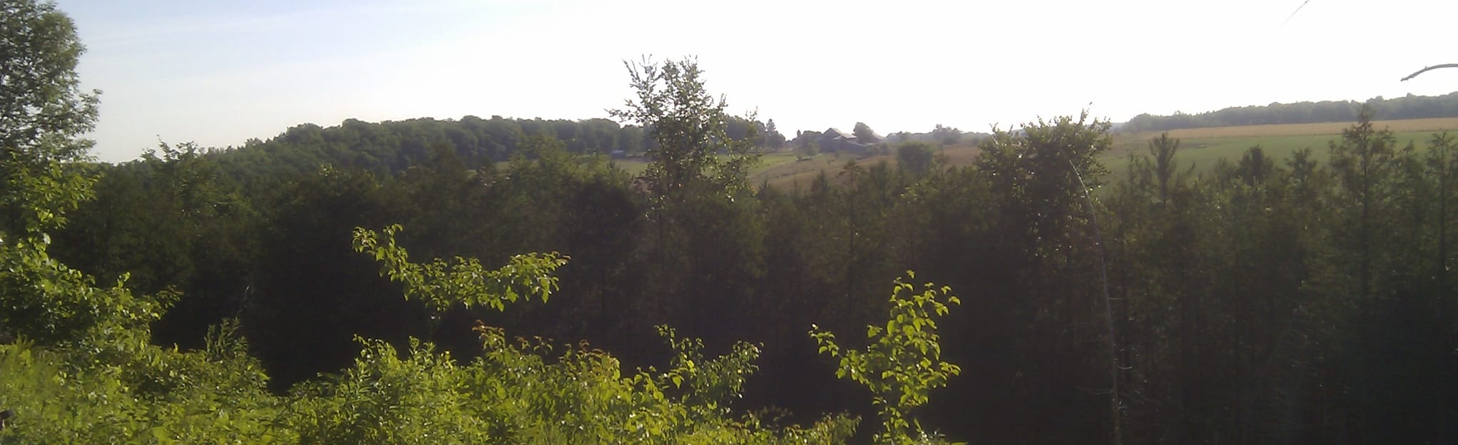 Brant Tract Loop: 56 Reviews, Map - Ontario, Canada | AllTrails