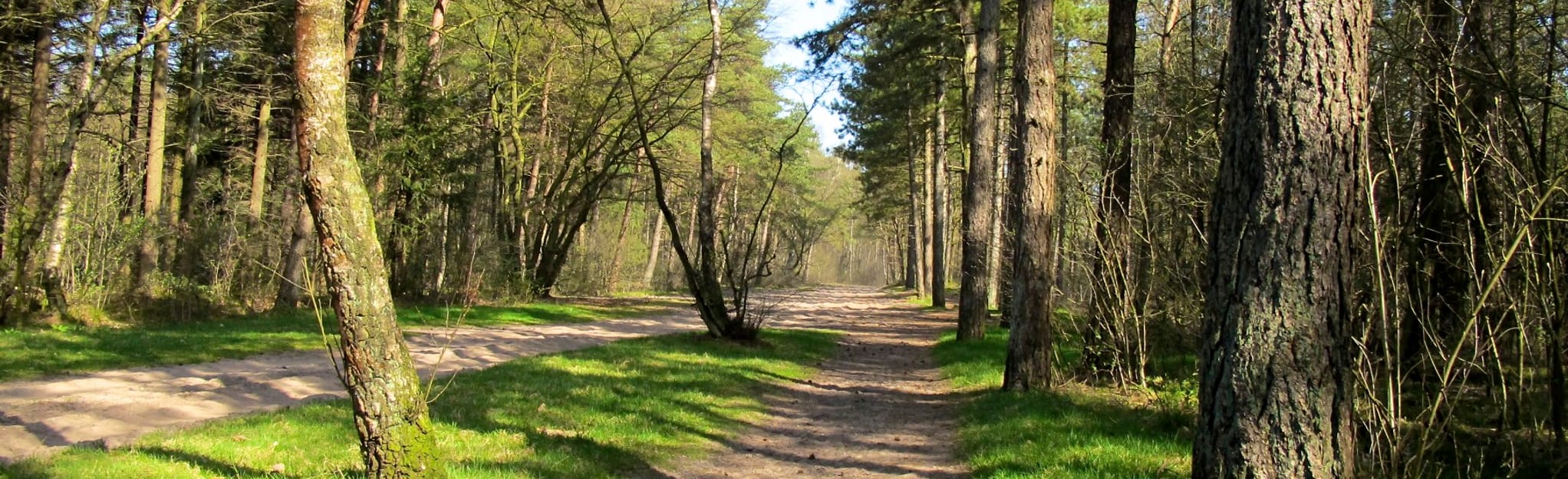 NS-Wandeling: Lange Duinen Amersfoort - Hollandsche Rading: 328 foto's ...