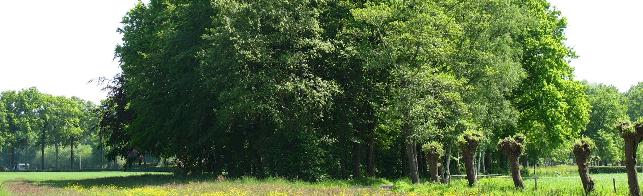 Heino Blauwe Wandelroute, Overijssel, Netherlands - 3 Reviews, Map ...