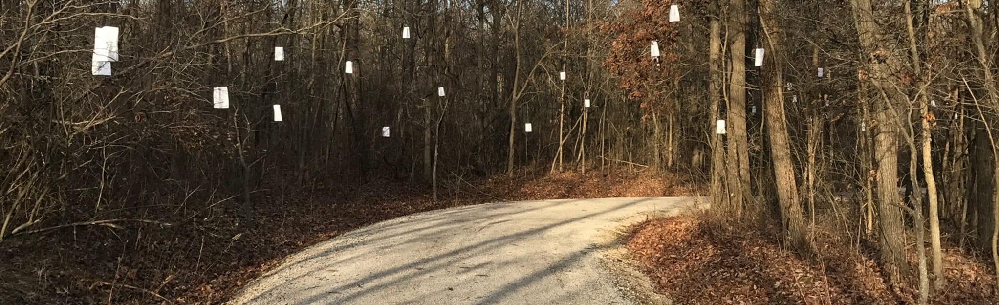 General Dacey Lake Shelbyville Trail, Illinois - 138 Reviews, Map ...