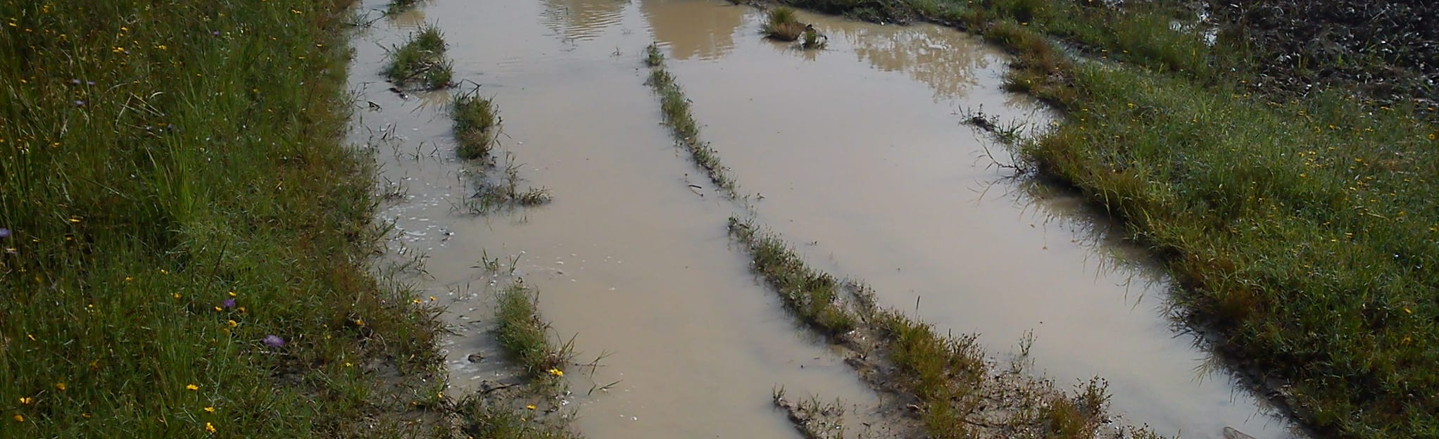 Pilas - Pinares de Hinojos - Ruta de los charcos, Seville, Spain - Map ...