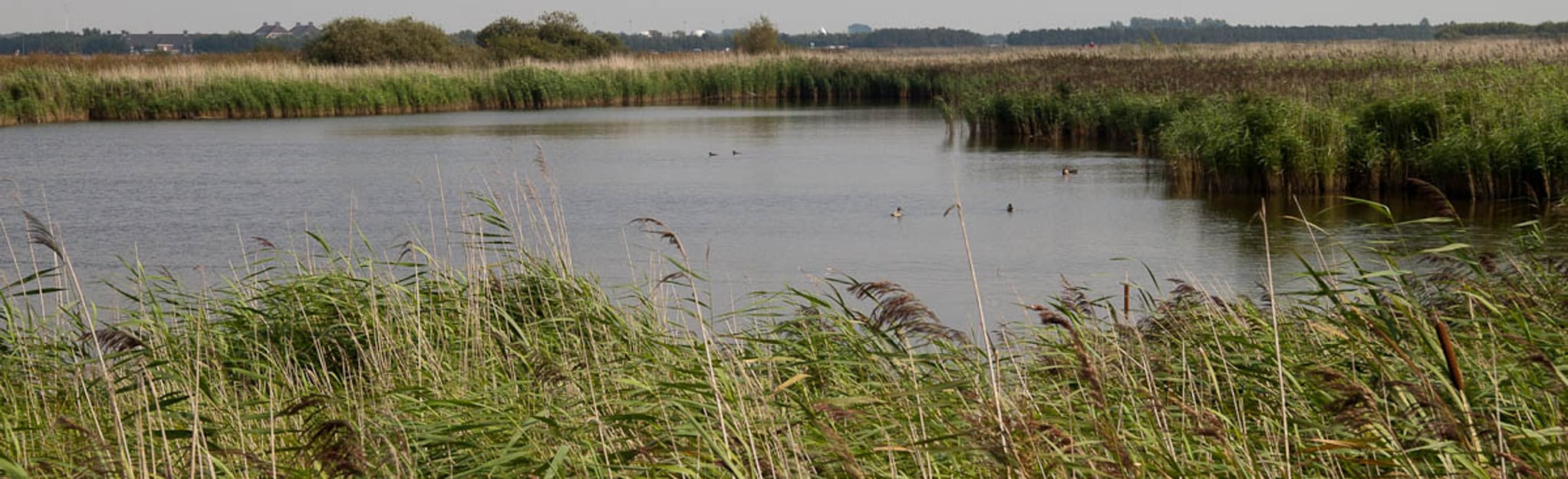 LF Coastal Route (EV12) Segment 9: Holwerd - Ulrum, Friesland ...