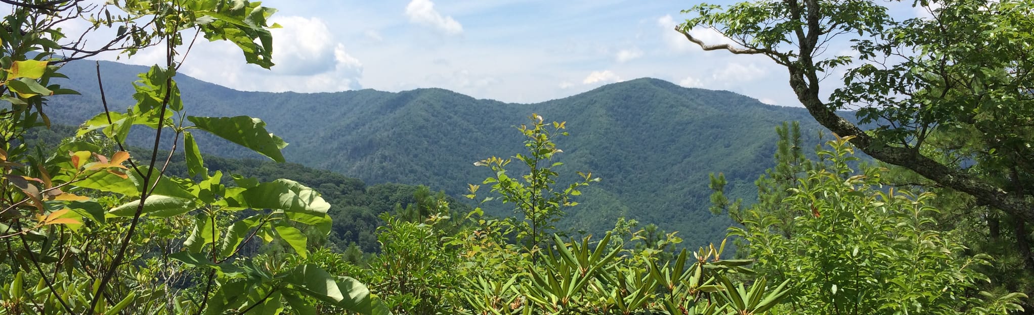 Hangover Lead Trail | Map, Guide - North Carolina | AllTrails