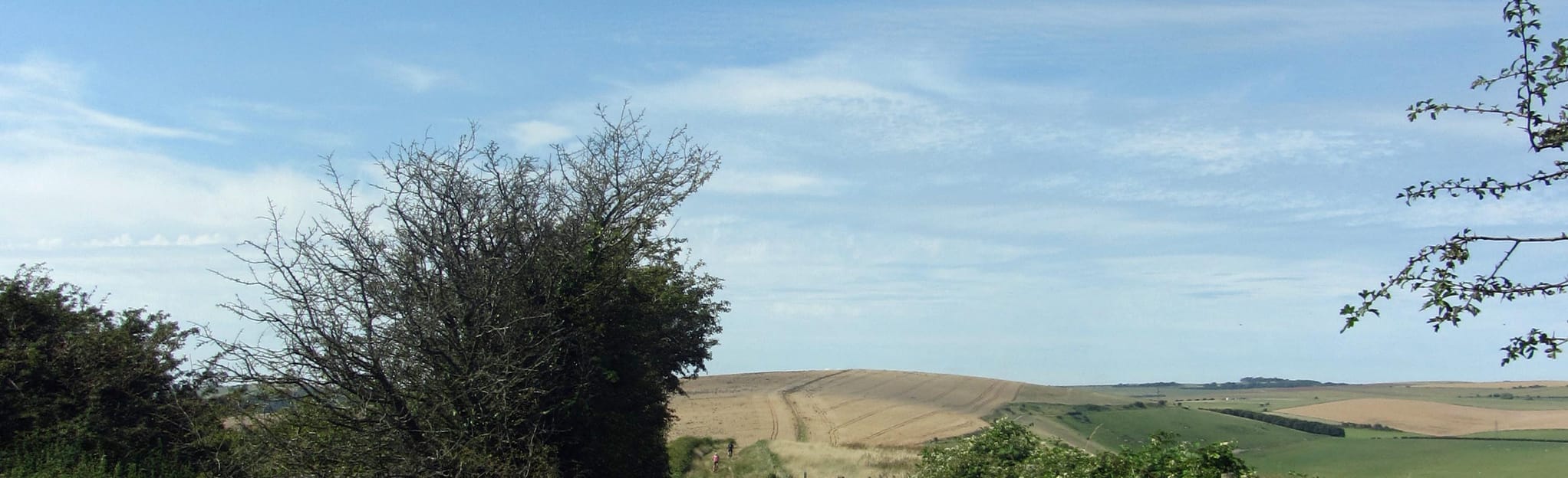 Lancing Ring Nature Reserve Circular: 81 Reviews, Map - West Sussex ...