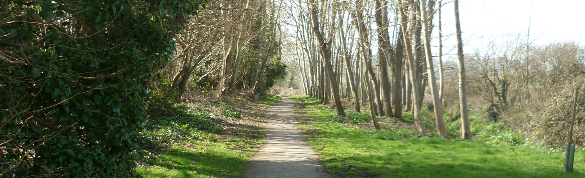 Middleton Walk, Isle of Wight, England - Map, Guide | AllTrails