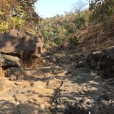 Dediapada Forest - Ninai Waterfall, Gujarat, India - Map, Guide | AllTrails