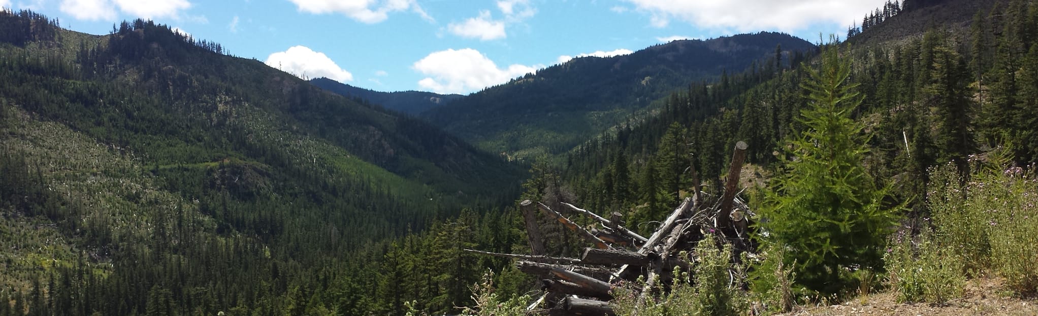 Taneum Creek OHV Loop, Washington - 10 Reviews, Map | AllTrails