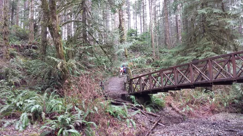 10 Best Long Trails in Tahuya State Forest | AllTrails