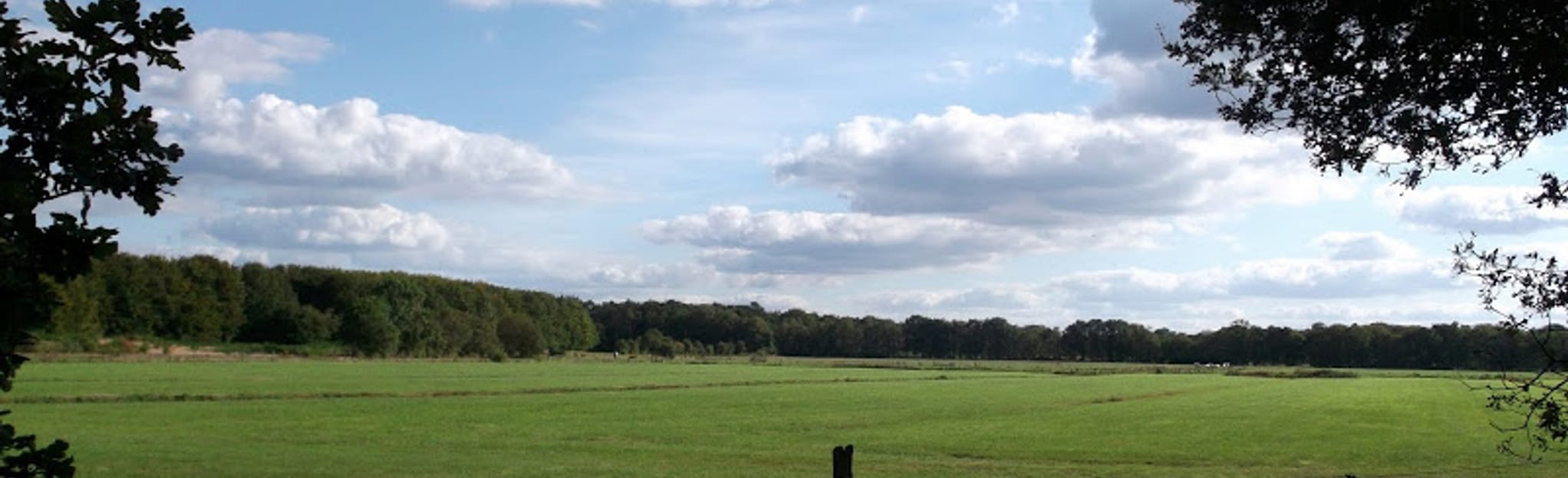 Groote Heide Purple Trail: 4 Reviews, Map - North Brabant, Netherlands ...