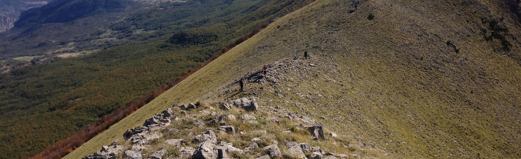 Cresta Loricati - Serra Dolcedorme - Faggio Grosso, Calabria, Italy - 2 ...