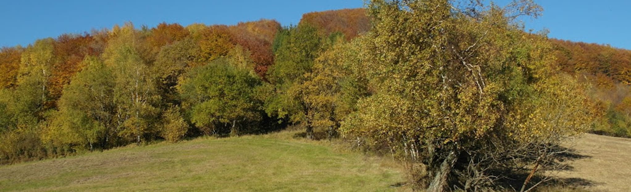 Cigeľka - Stebnícka Magura, Prešovský kraj, Slovakia - Map, Guide ...