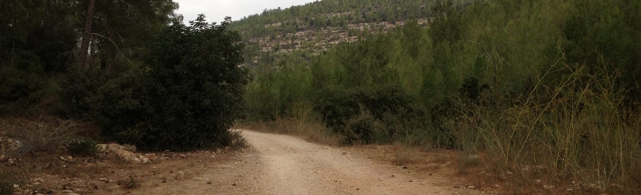 Kiryat Yearim to Neve Ilan Forest - Jerusalem, Israel | AllTrails