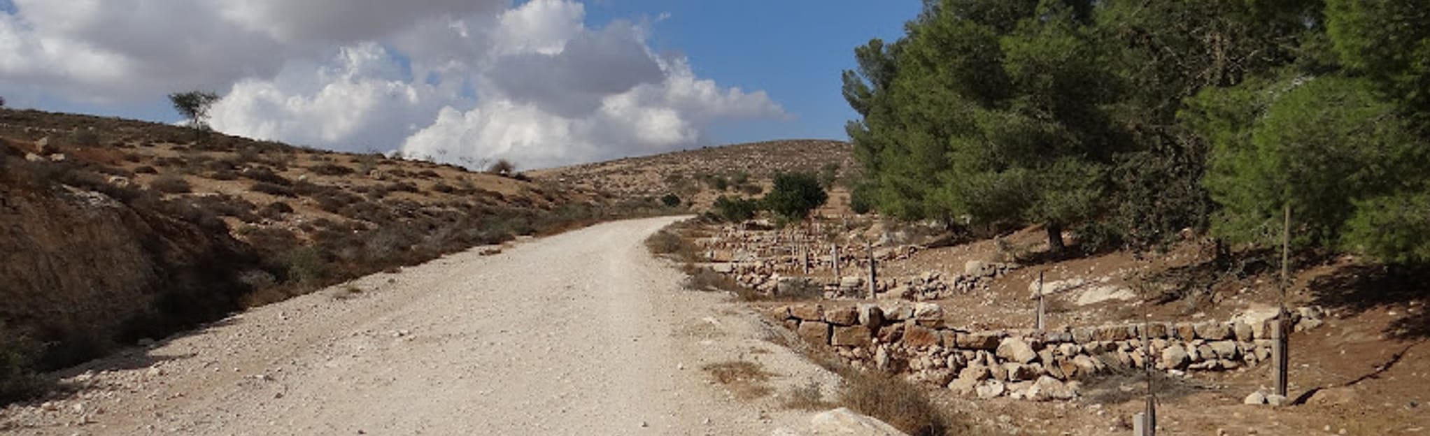 הר עמשא לבית היערן דרך יער יתיר - Southern District HaDarom, Israel | AllTrails