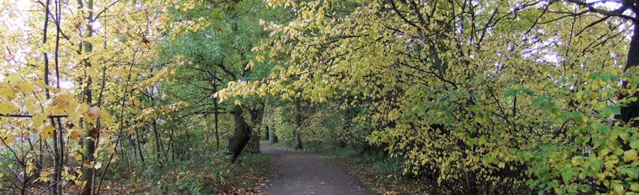 Swaffham Belt Path and Queen Elizabeth Hospital: 1 Reviews, Map ...