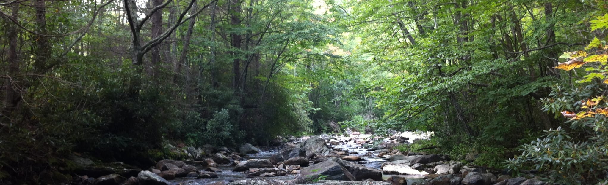 AllTrails | Big Wilson Creek Trail to Kabel Trail from Briar Run Lane ...